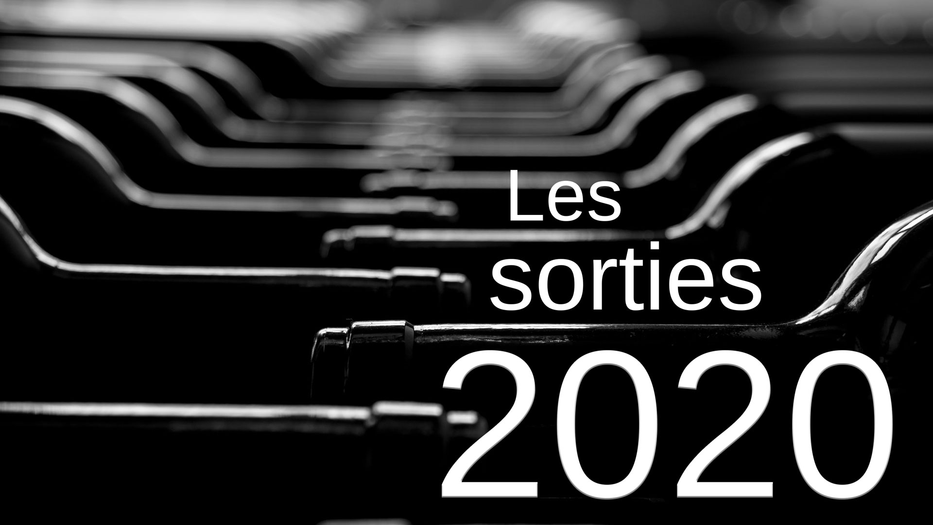 Zoom : Les sorties 2020